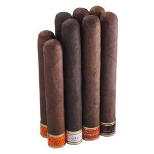 Cain 8 Cigar Sampler | Tobacco Locker